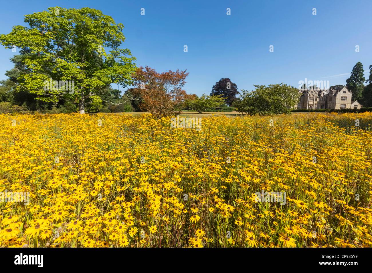 House wakehurst place west sussex hi-res stock photography and images ...