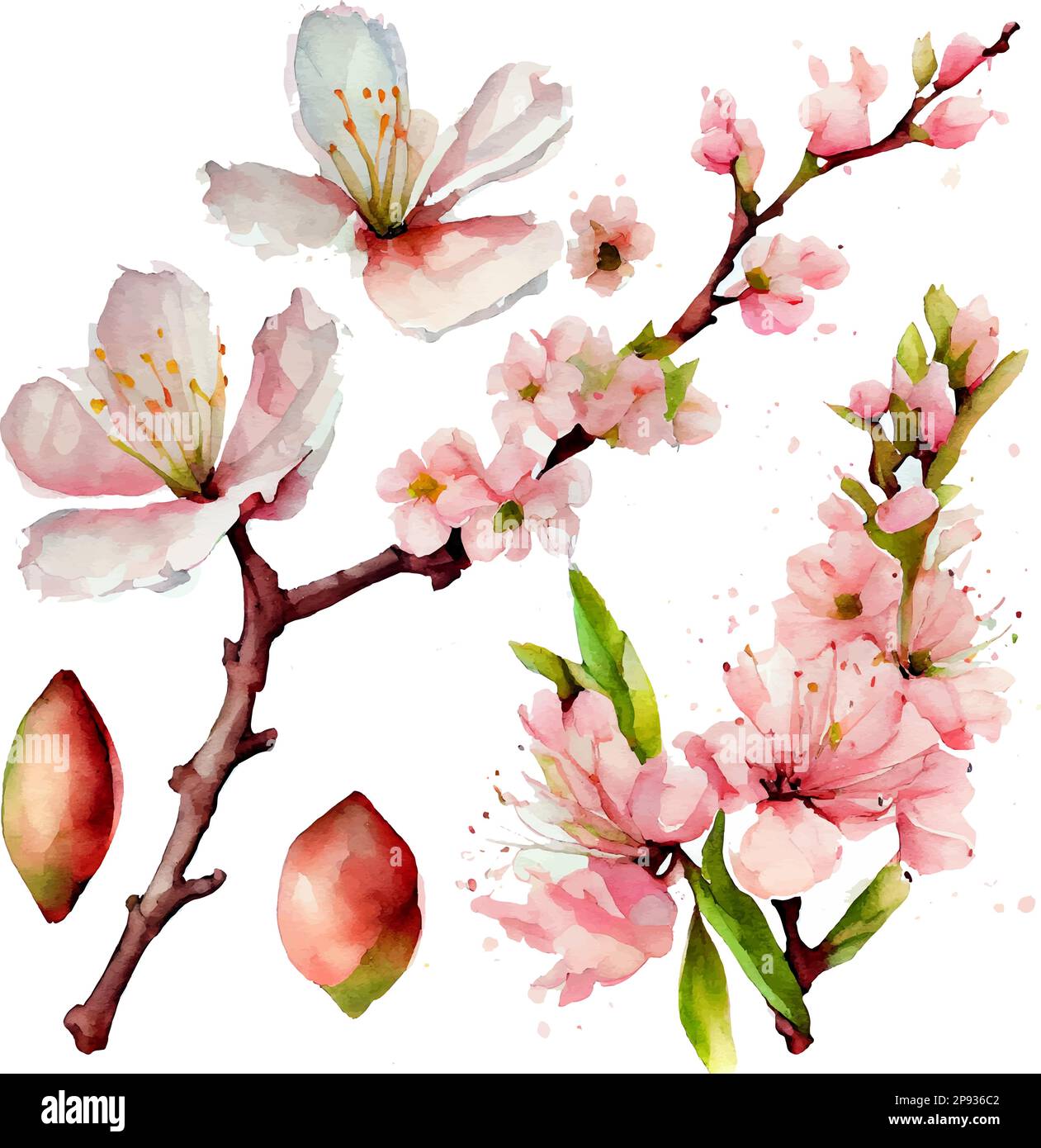 Apple Blossom Branch Painting