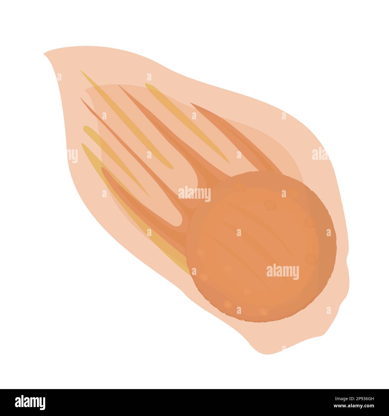 Cute orange comet falling down, monochrome illustration Stock Vector ...