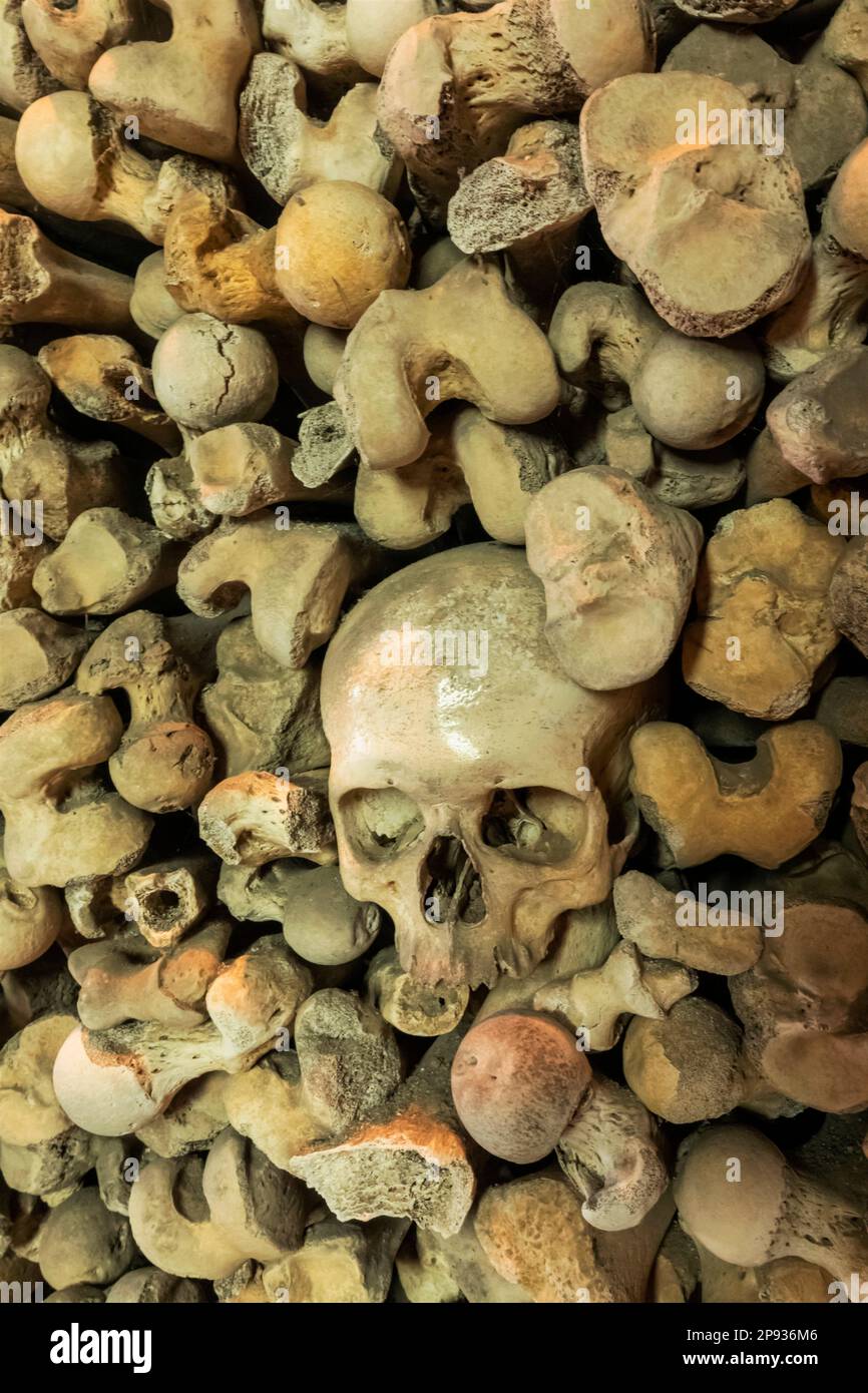 Hythe kent crypt hi-res stock photography and images - Alamy