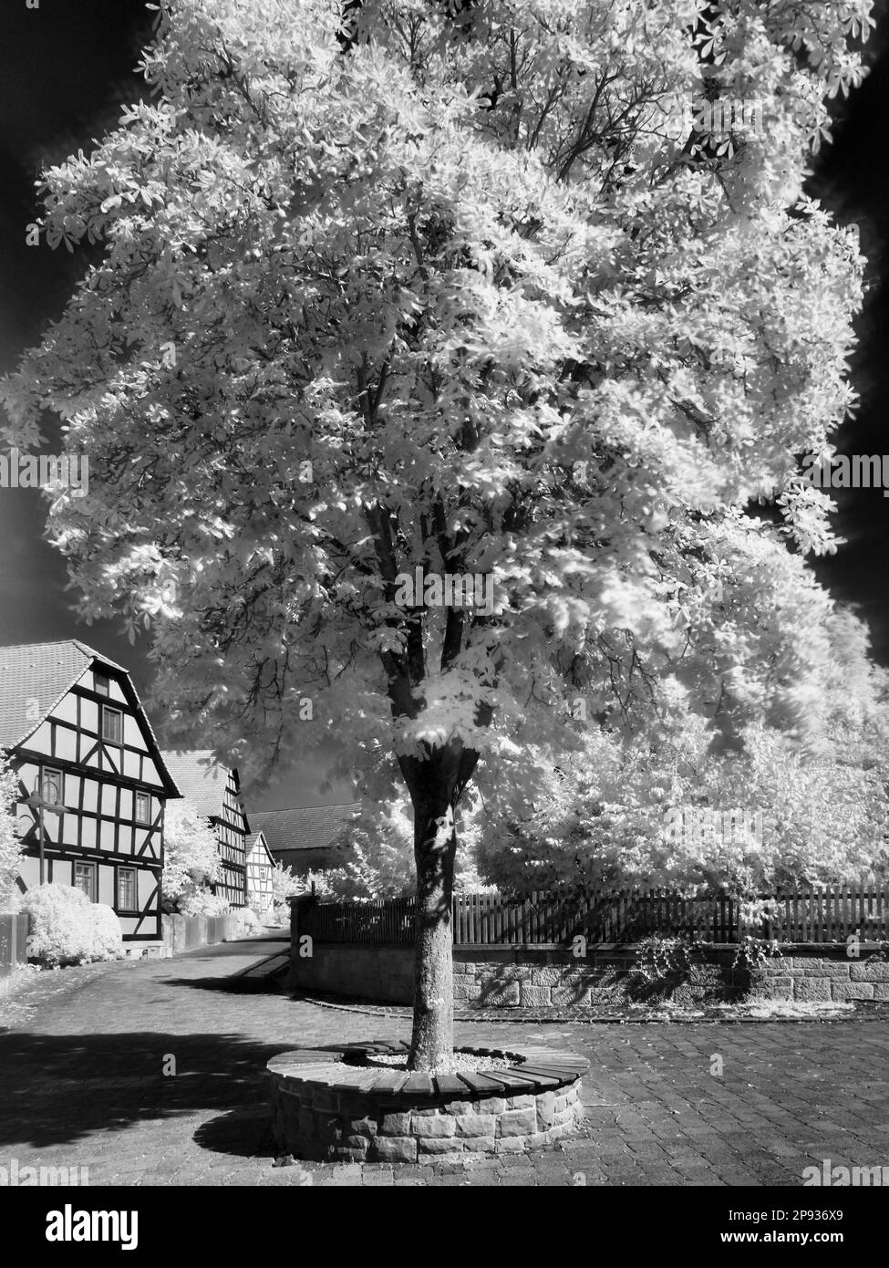 Europe, Germany, Hesse, Central Hesse, Marburger Land, half-timbered ...