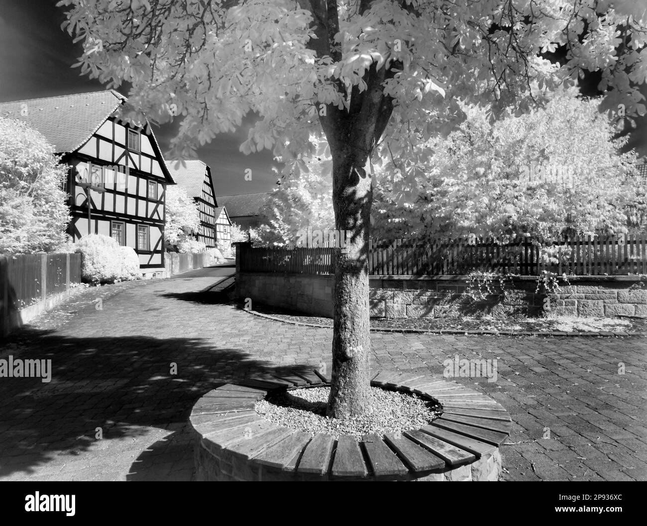 Europe, Germany, Hesse, Central Hesse, Marburger Land, half-timbered ...