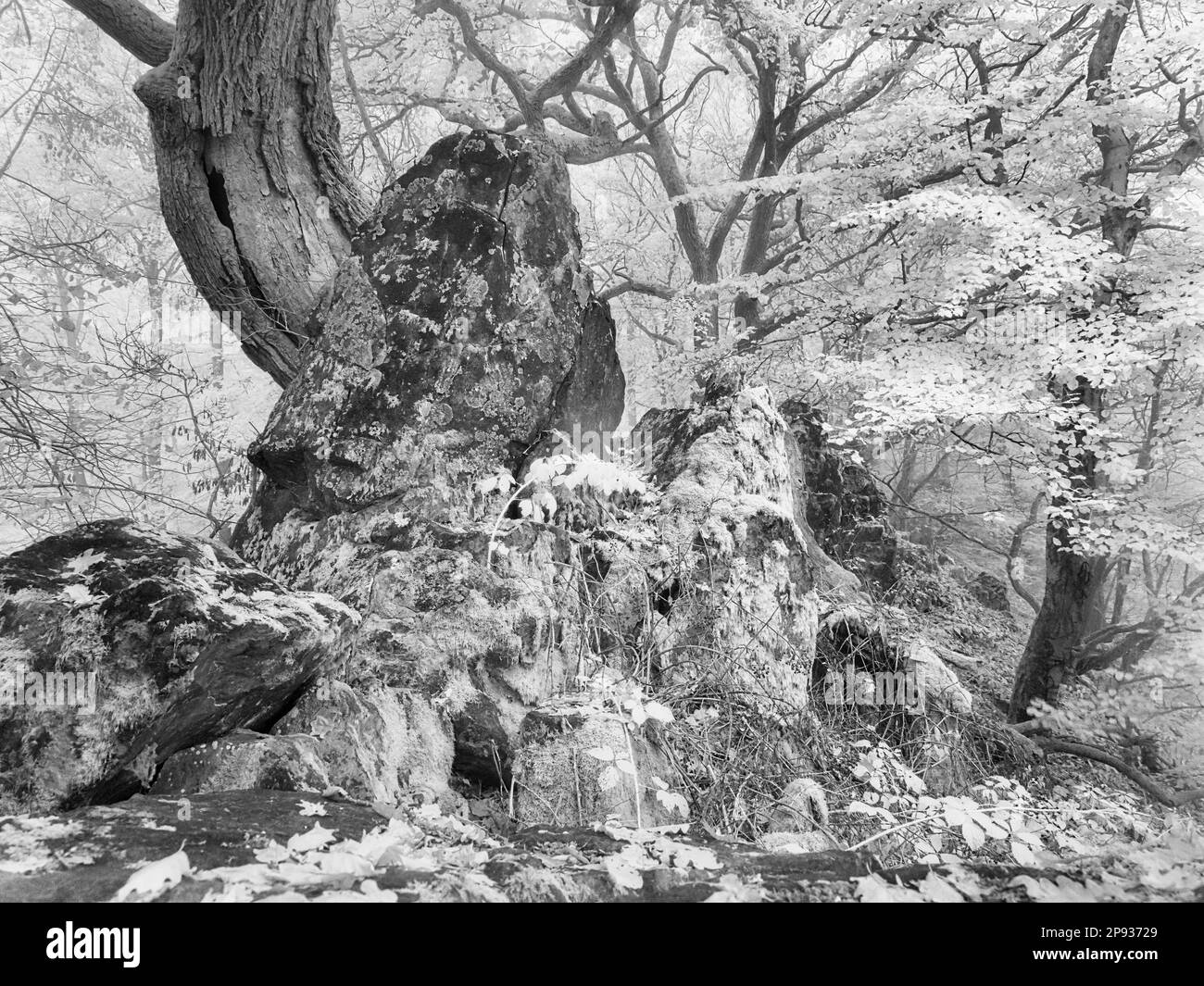 Europe, Germany, Hesse, Central Hesse, Marburger Land, rock formation ...