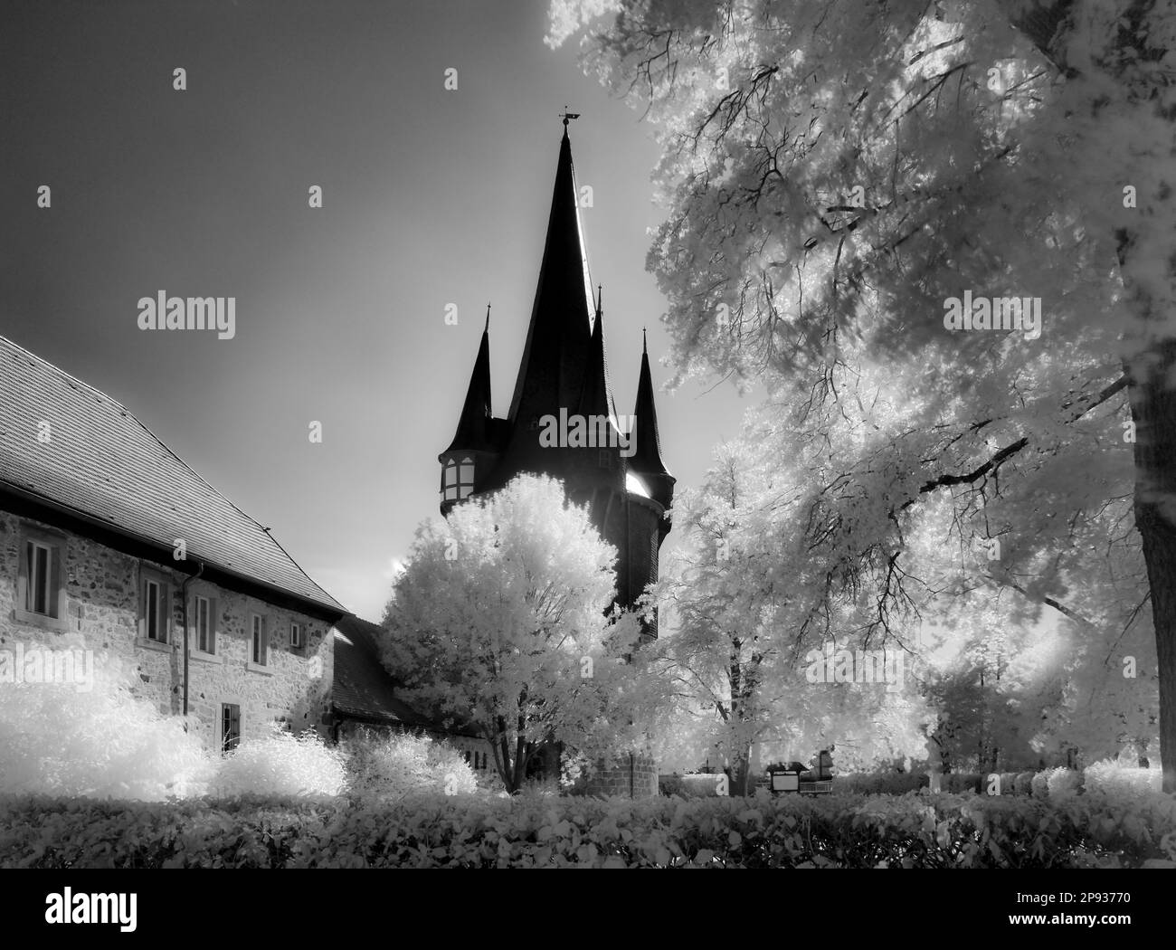 Europe, Germany, Hesse, Central Hesse, Marburger Land, Neustadt/Hesse ...