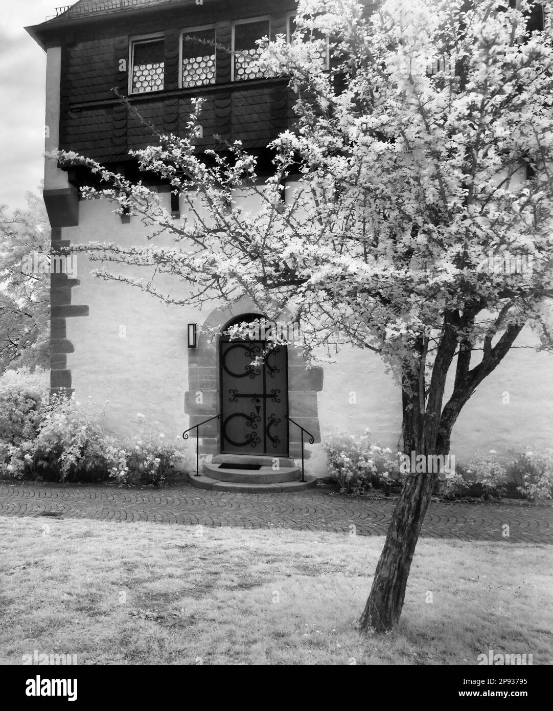 Europe, Germany, Hesse, Central Hesse, Marburger Land, at the old ...