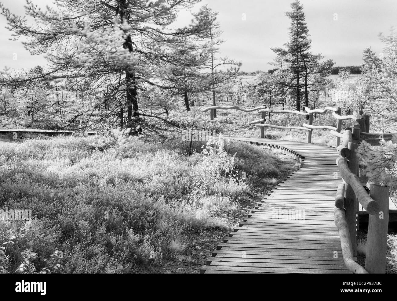 Europe, Germany, Bavaria, Rhön, Bavarian Rhön Nature Park and Biosphere ...