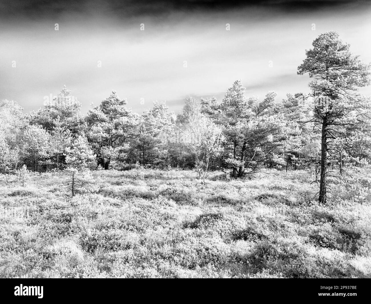 Biosphere reserve bavarian rhon Black and White Stock Photos & Images ...