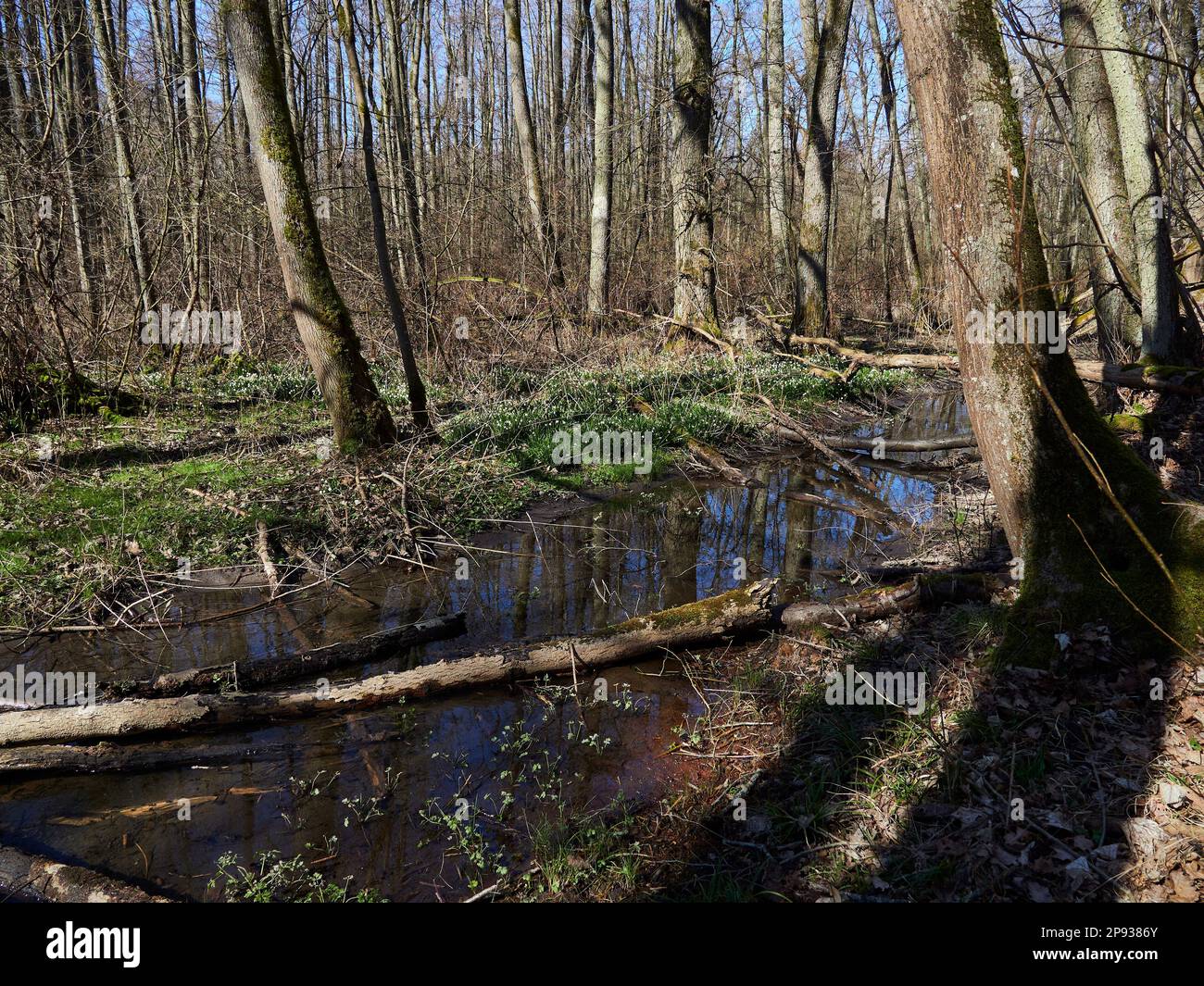 Dolines in the Grettstädter Riedwiesen nature reserve, Schweinfurt ...