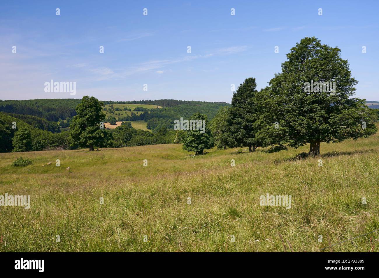Landscape in the Upper Ulster Valley of the High Rhön, Rhön Biosphere ...