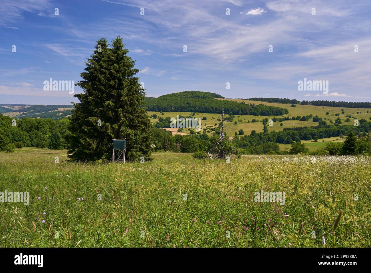 Landscape in the Upper Ulster Valley of the High Rhön, Rhön Biosphere ...