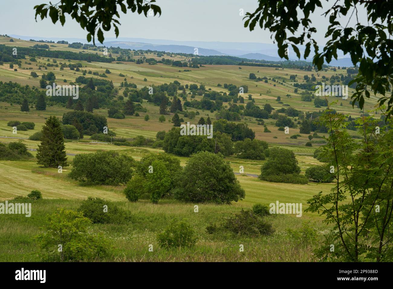 Lange Rhön nature reserve in the core zone of the Rhön biosphere ...