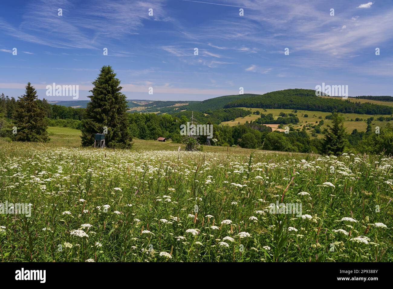 Landscape in the Upper Ulster Valley of the High Rhön, Rhön Biosphere ...