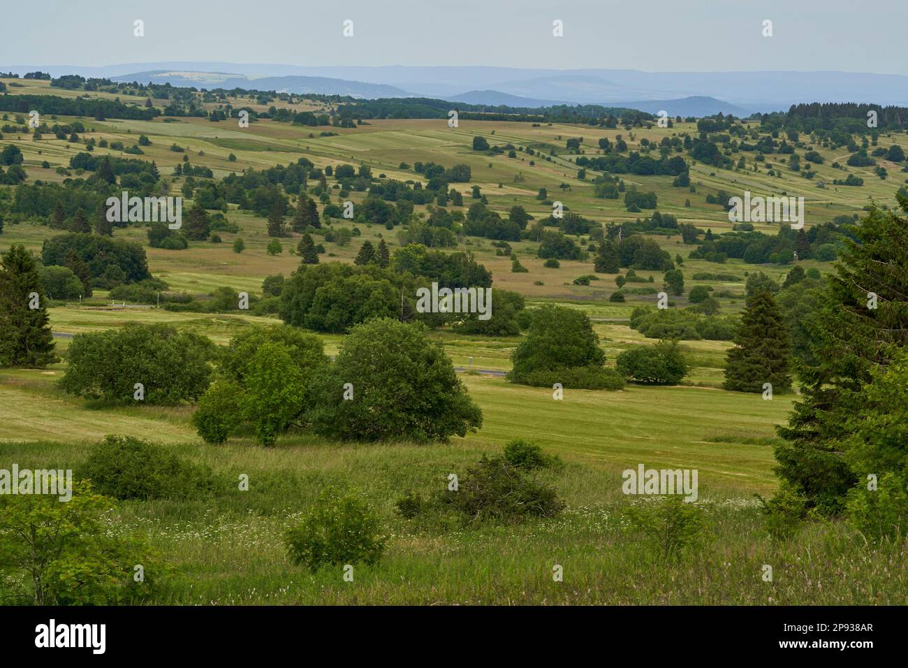 Lange Rhön nature reserve in the core zone of the Rhön biosphere ...