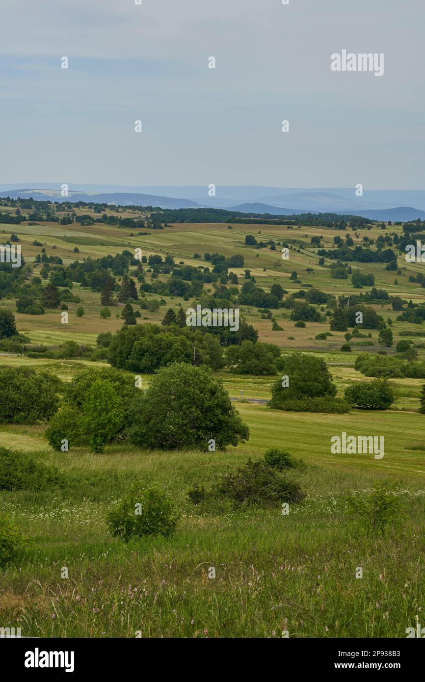 Lange Rhön nature reserve in the core zone of the Rhön biosphere ...