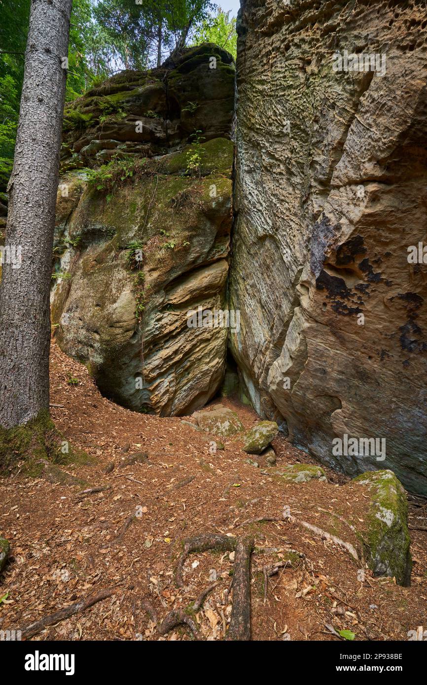 The Rhät sandstone rock group Diebskeller near Altenstein, Hassberge ...
