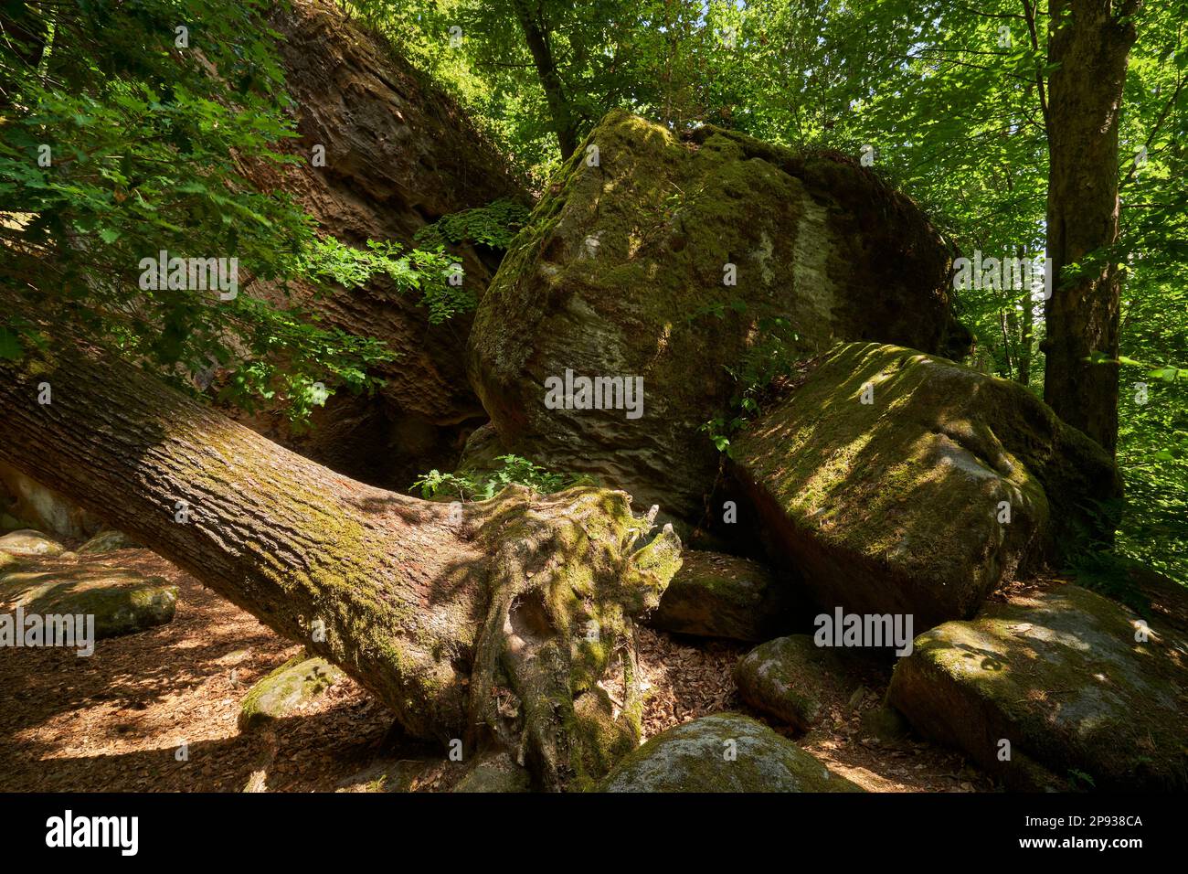 The Rhät sandstone rock group Diebskeller near Altenstein, Hassberge ...