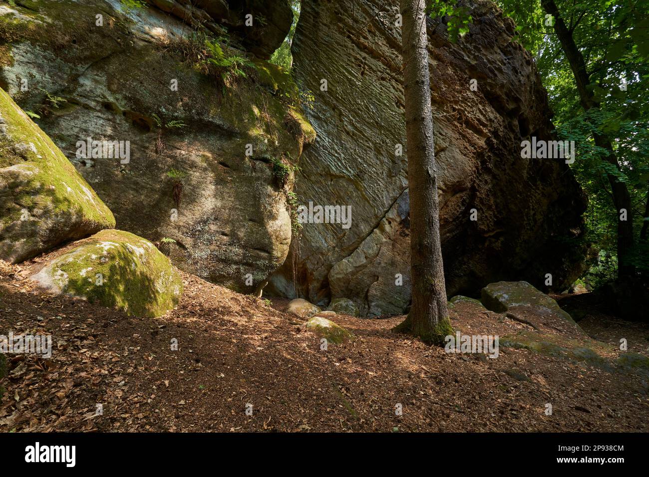 The Rhät sandstone rock group Diebskeller near Altenstein, Hassberge ...