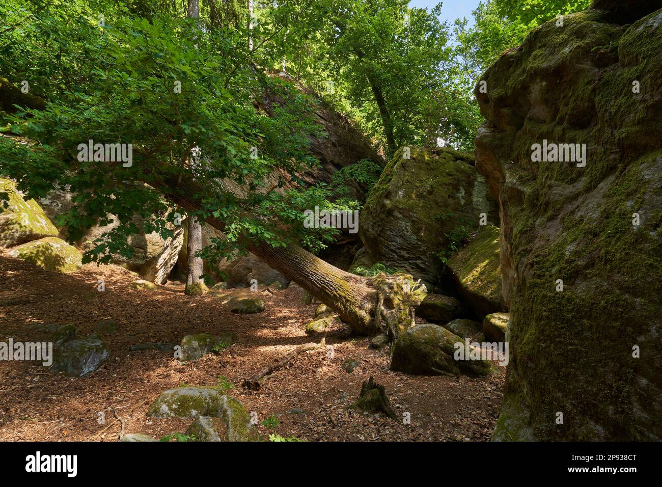 Rhaetian sandstone hi-res stock photography and images - Alamy