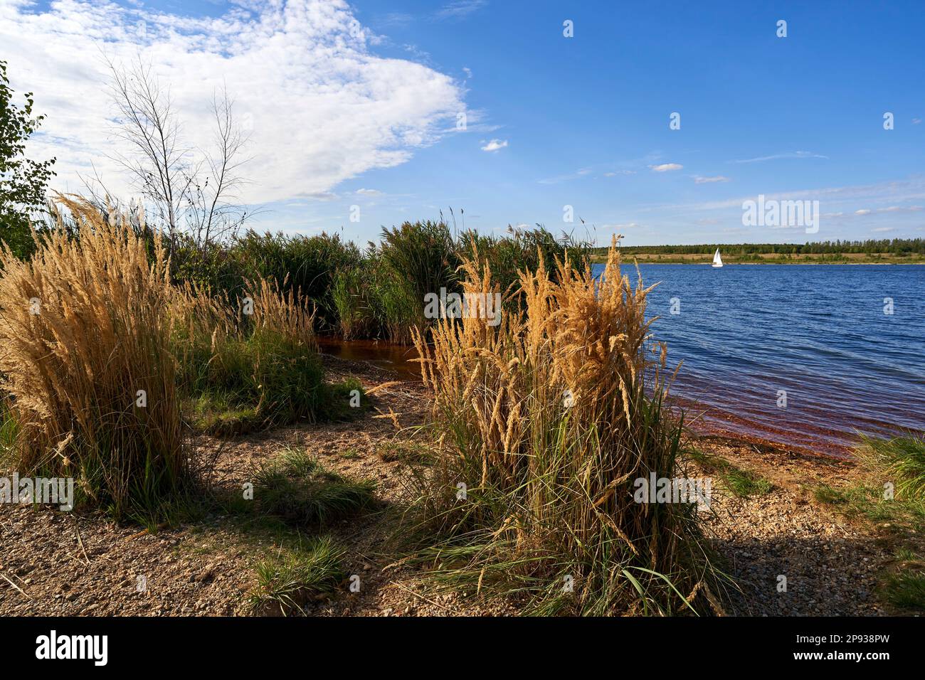 Zwenkauer See, the largest lake in the Leipziger Neuseenland, city of ...