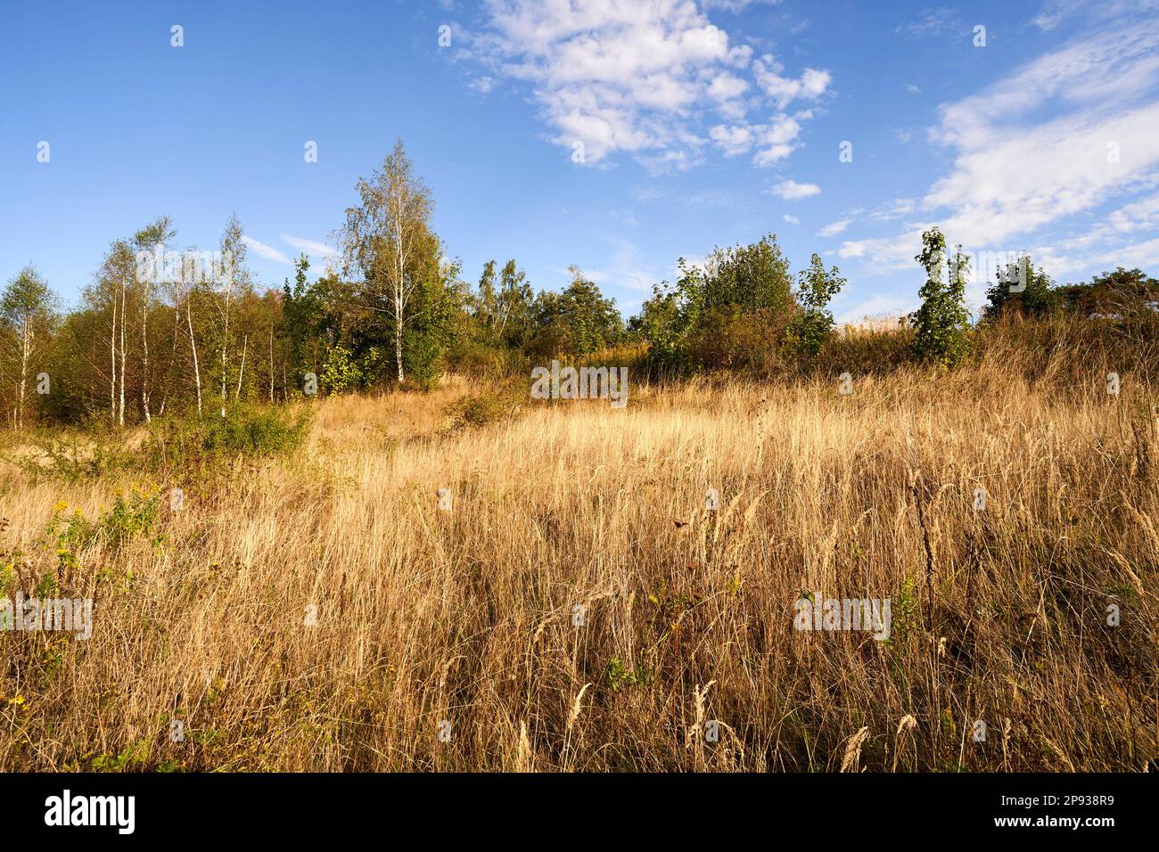 Zwenkauer See, the largest lake in the Leipziger Neuseenland, city of ...