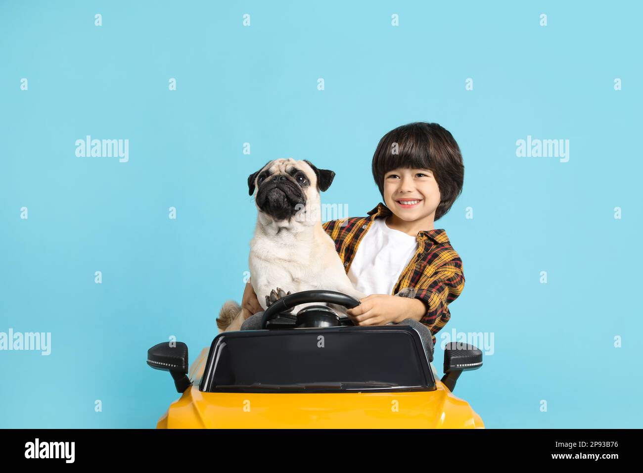 Little boy with his dog in toy car on light blue background Stock Photo ...