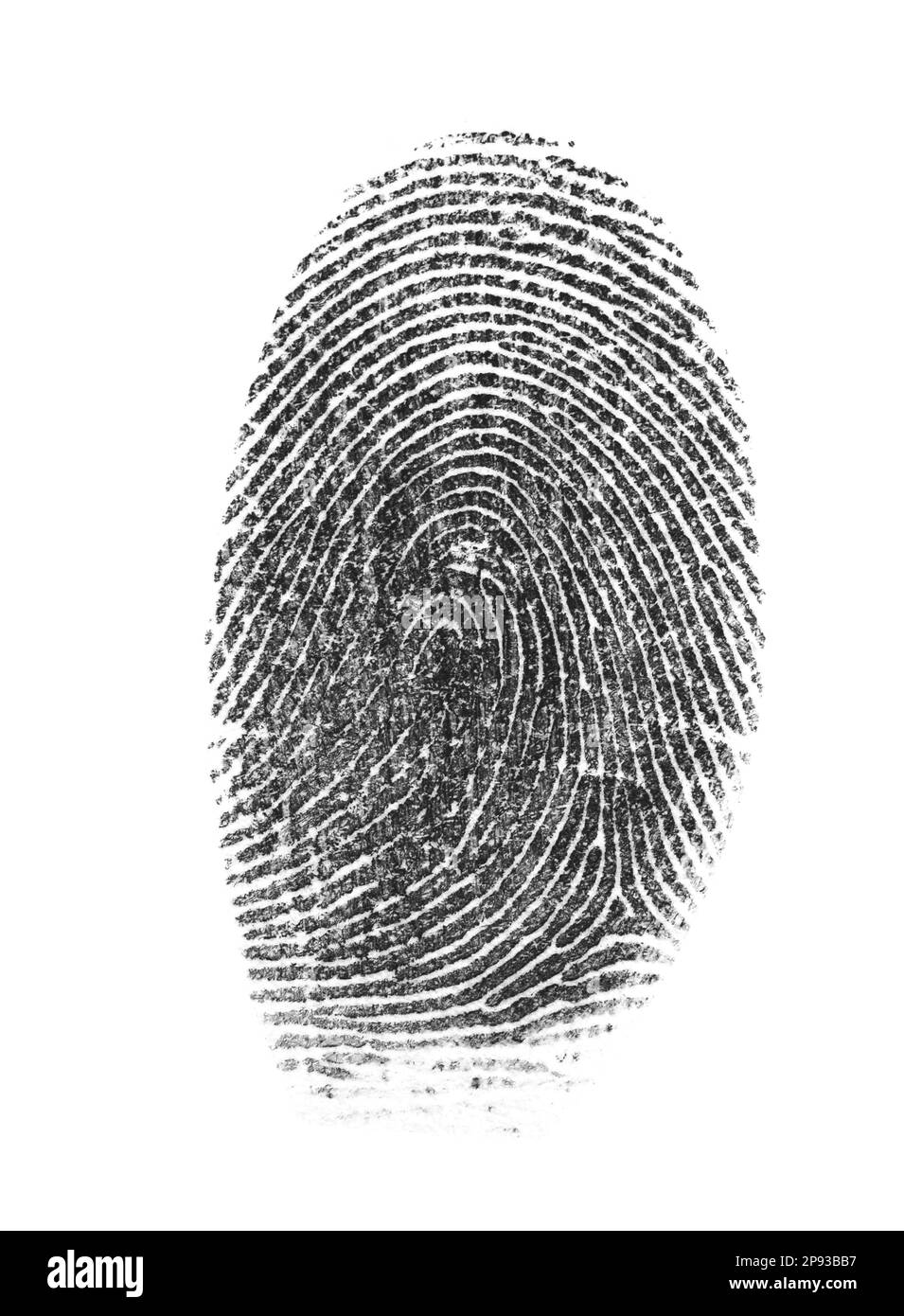Black fingerprint made with ink on white background Stock Photo - Alamy
