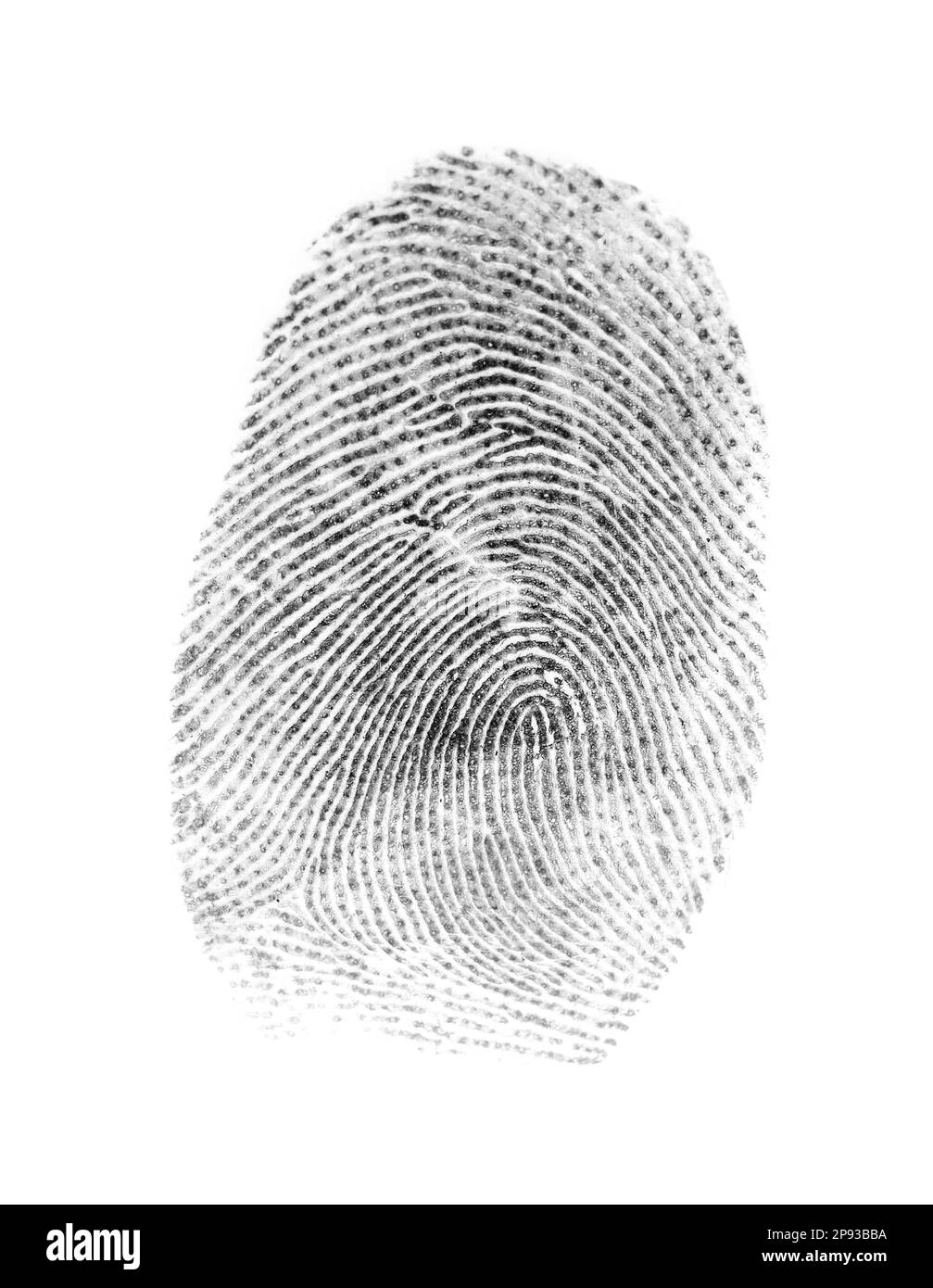 Black fingerprint made with ink on white background Stock Photo - Alamy