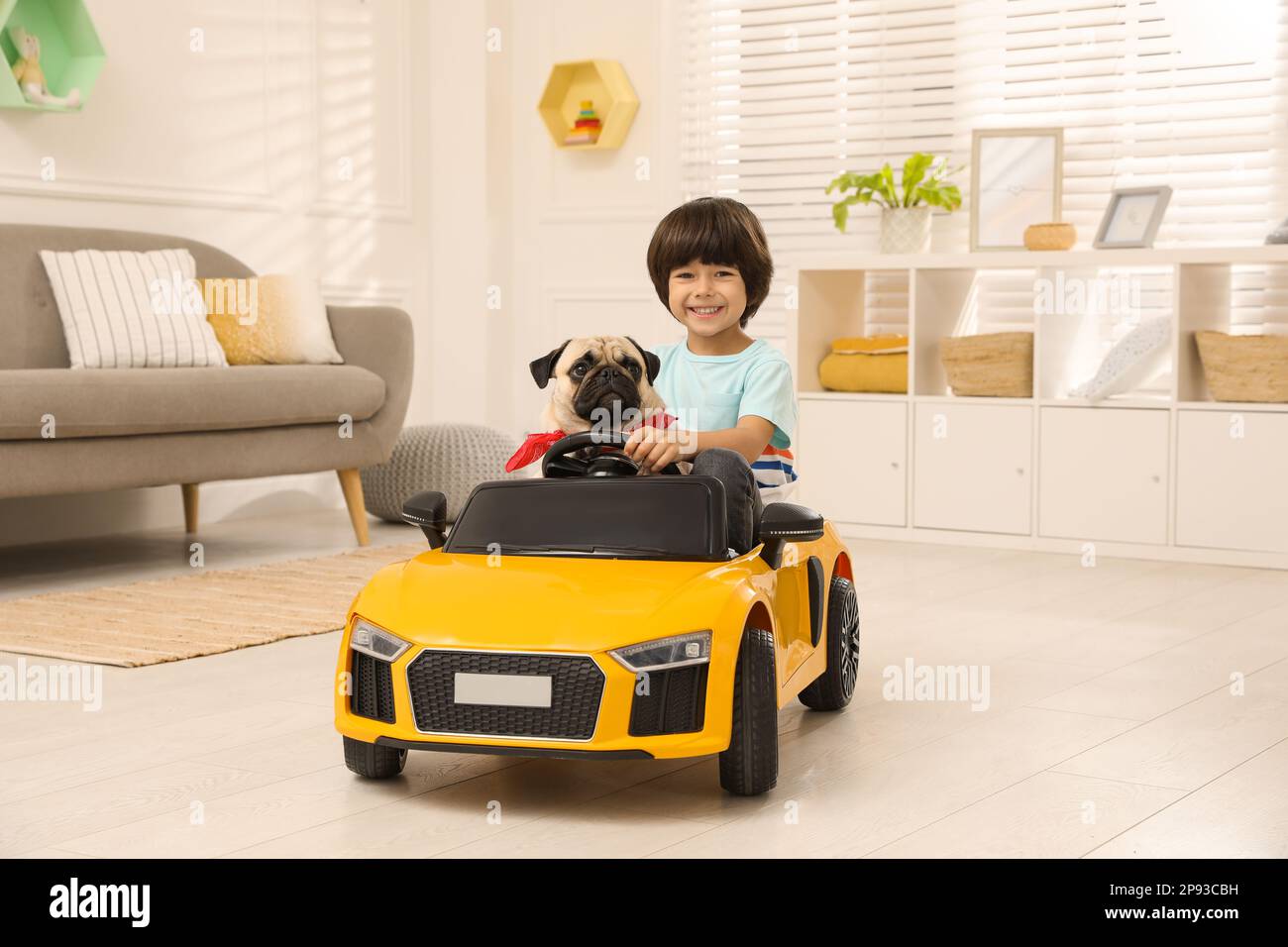 Little boy with his dog in toy car at home Stock Photo - Alamy