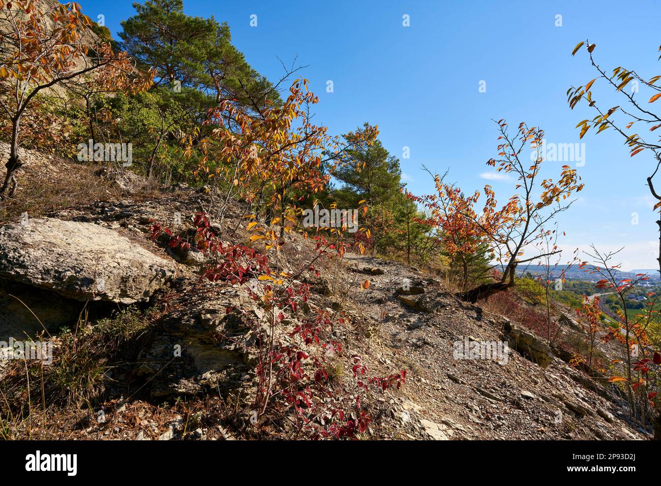 Grainberg-Kalbenstein Nature Reserve on the Main River near Karlstadt ...