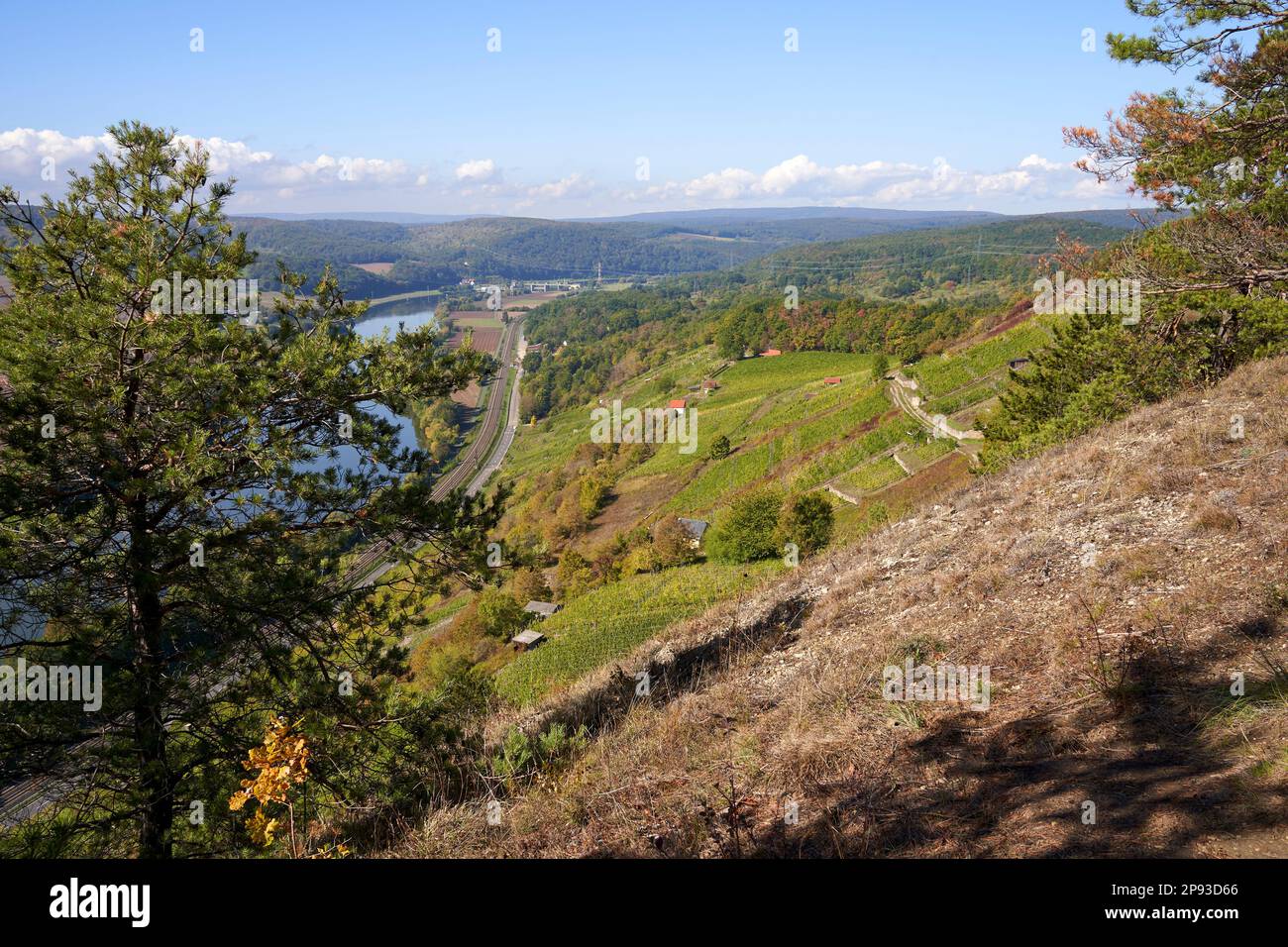 Vineyard terraces between Gambach and Karlstadt in the nature reserve ...