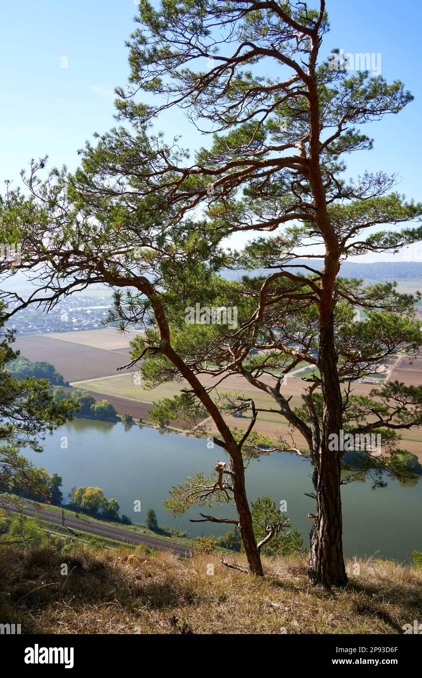 Pre spessart hi-res stock photography and images - Alamy