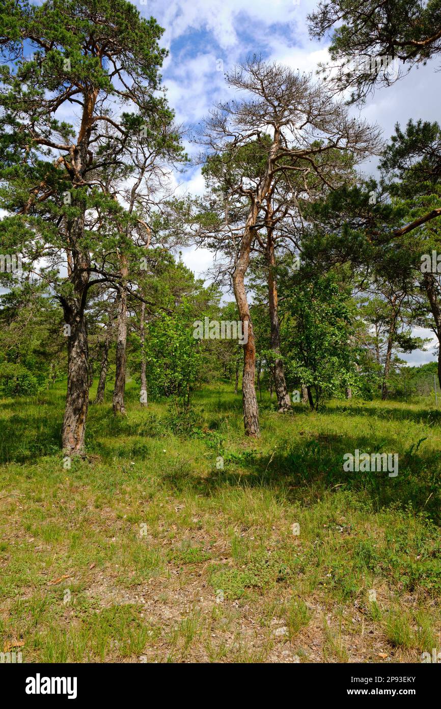 Mainfranken landscape conservation area hi-res stock photography and ...