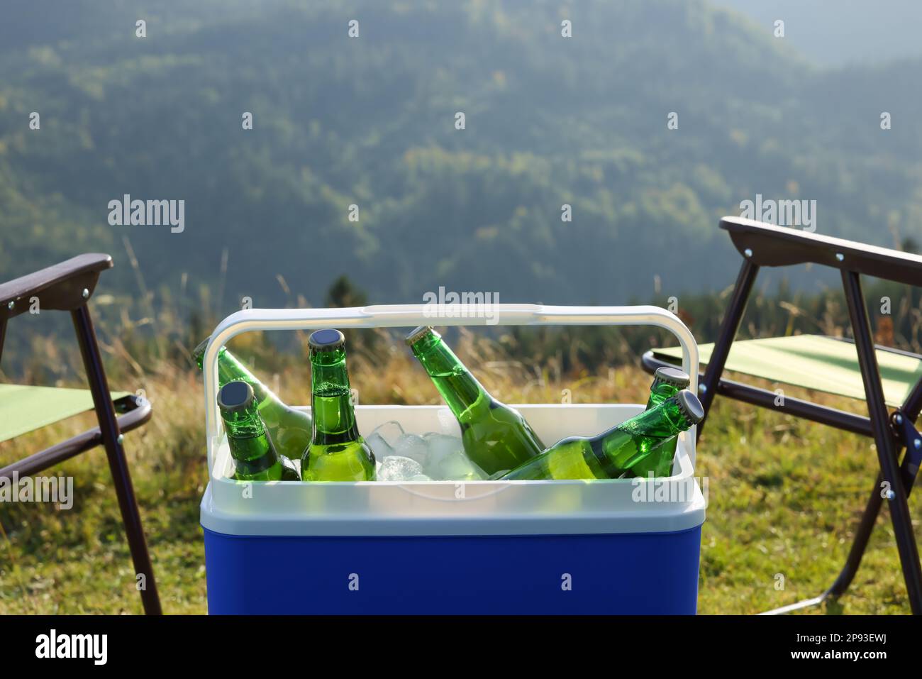 Chairs and cool box with bottles of beer in nature Stock Photo - Alamy