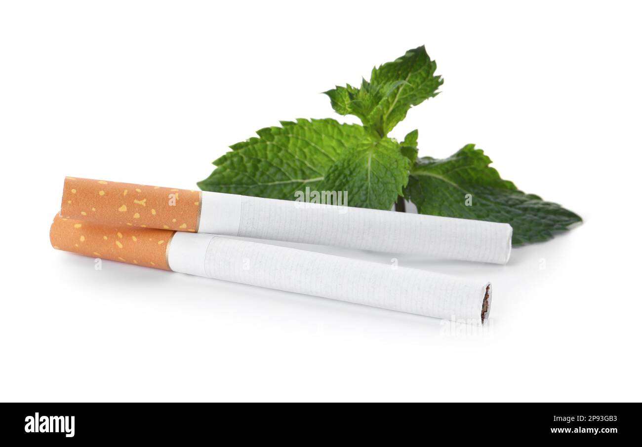 Menthol cigarettes and fresh mint leaves on white background Stock ...