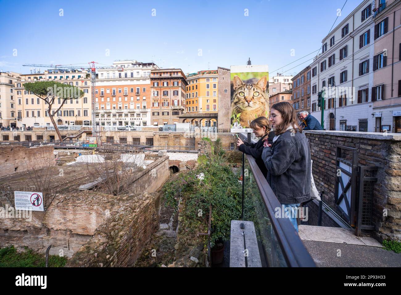 Rome, Italy. 10 March 2023. A Cat sanctuary founded in 1993 in the ...