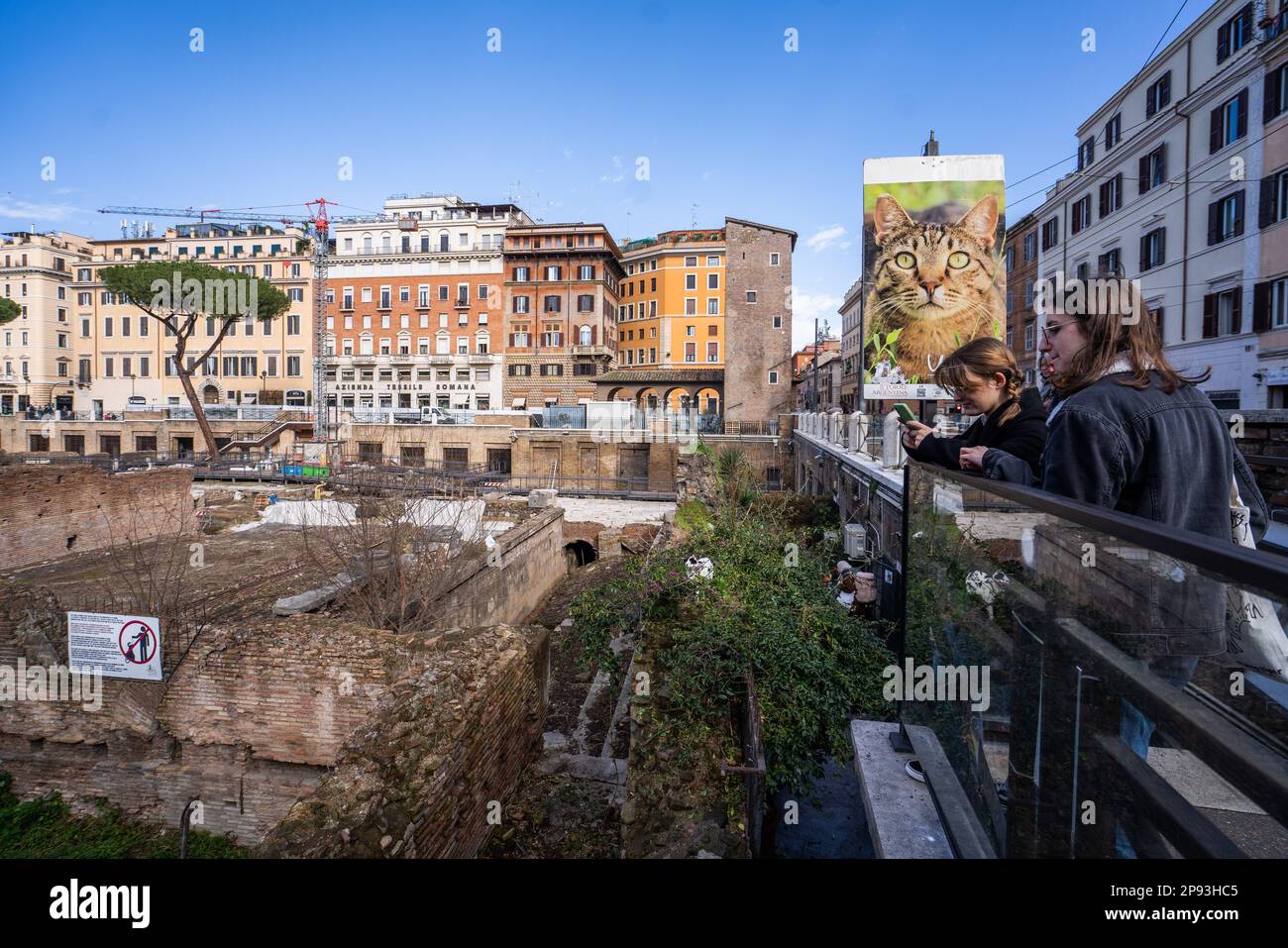 Rome, Italy. 10 March 2023. A Cat sanctuary founded in 1993 in the ...