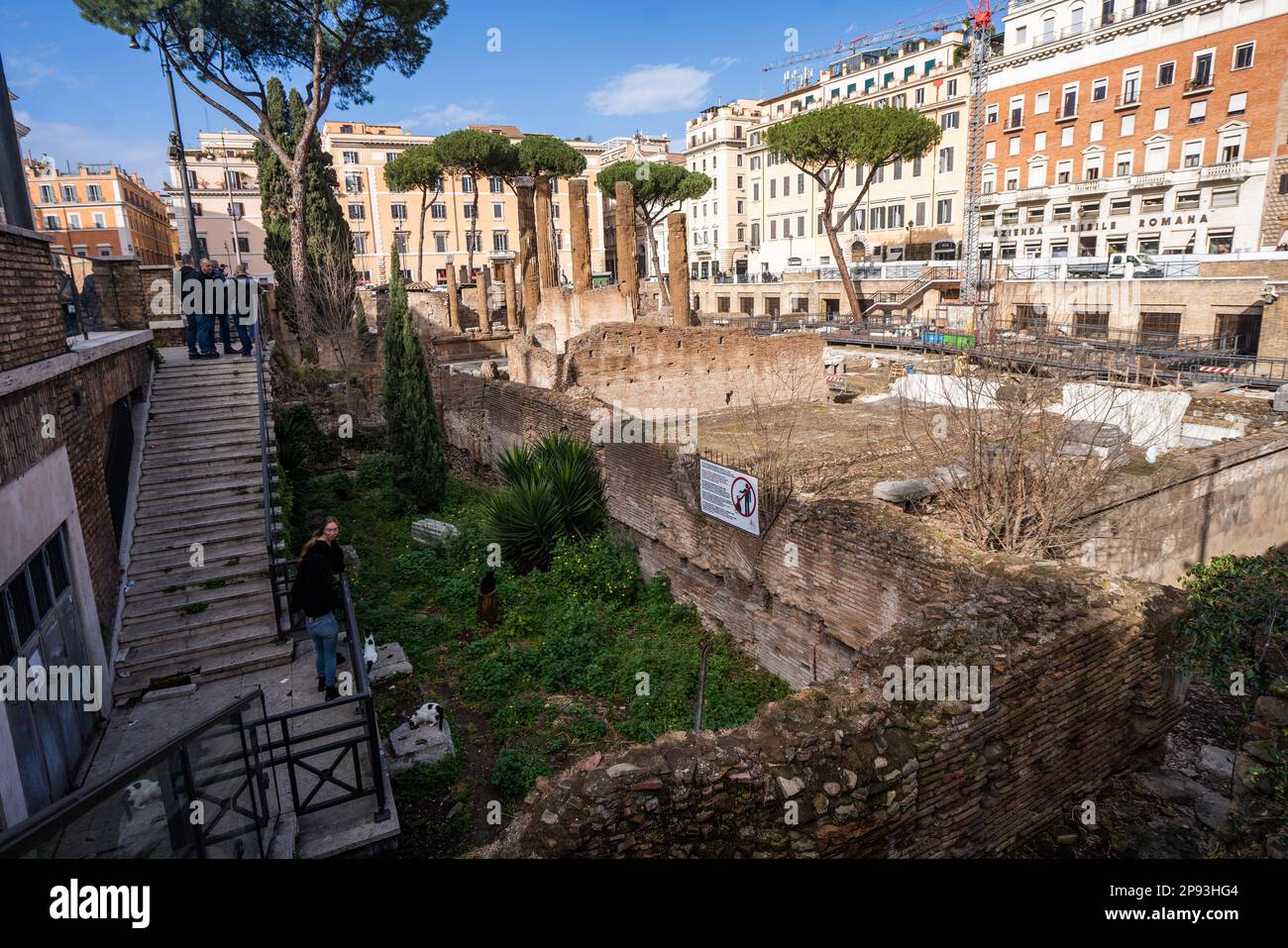 Rome, Italy. 10 March 2023. A Cat sanctuary founded in 1993 in the ...