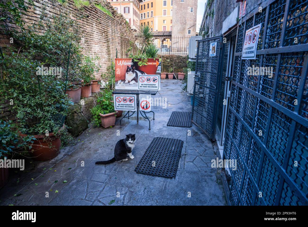 Rome, Italy. 10 March 2023. A Cat sanctuary founded in 1993 in the ...