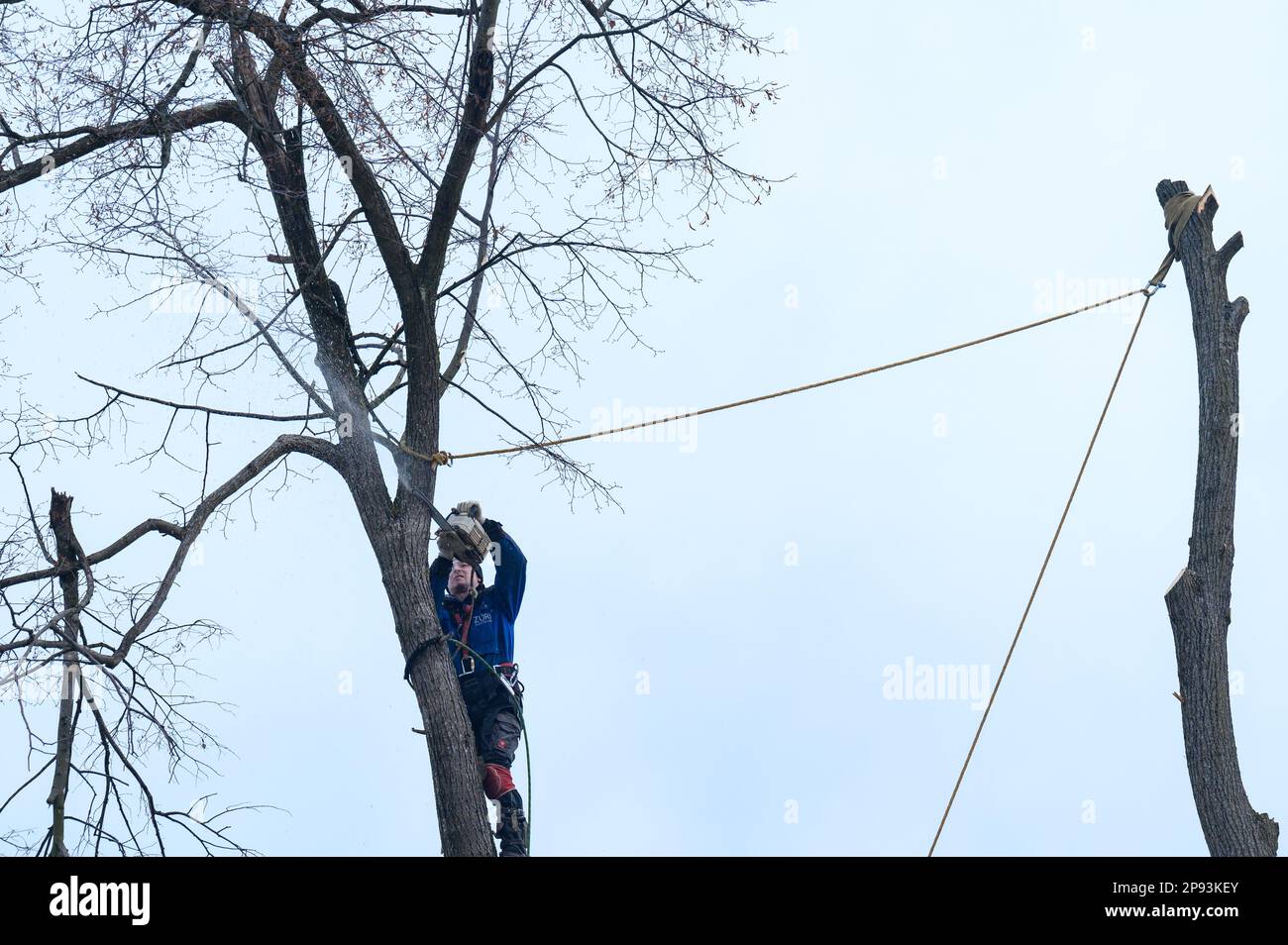 15 feet tall hi-res stock photography and images - Alamy
