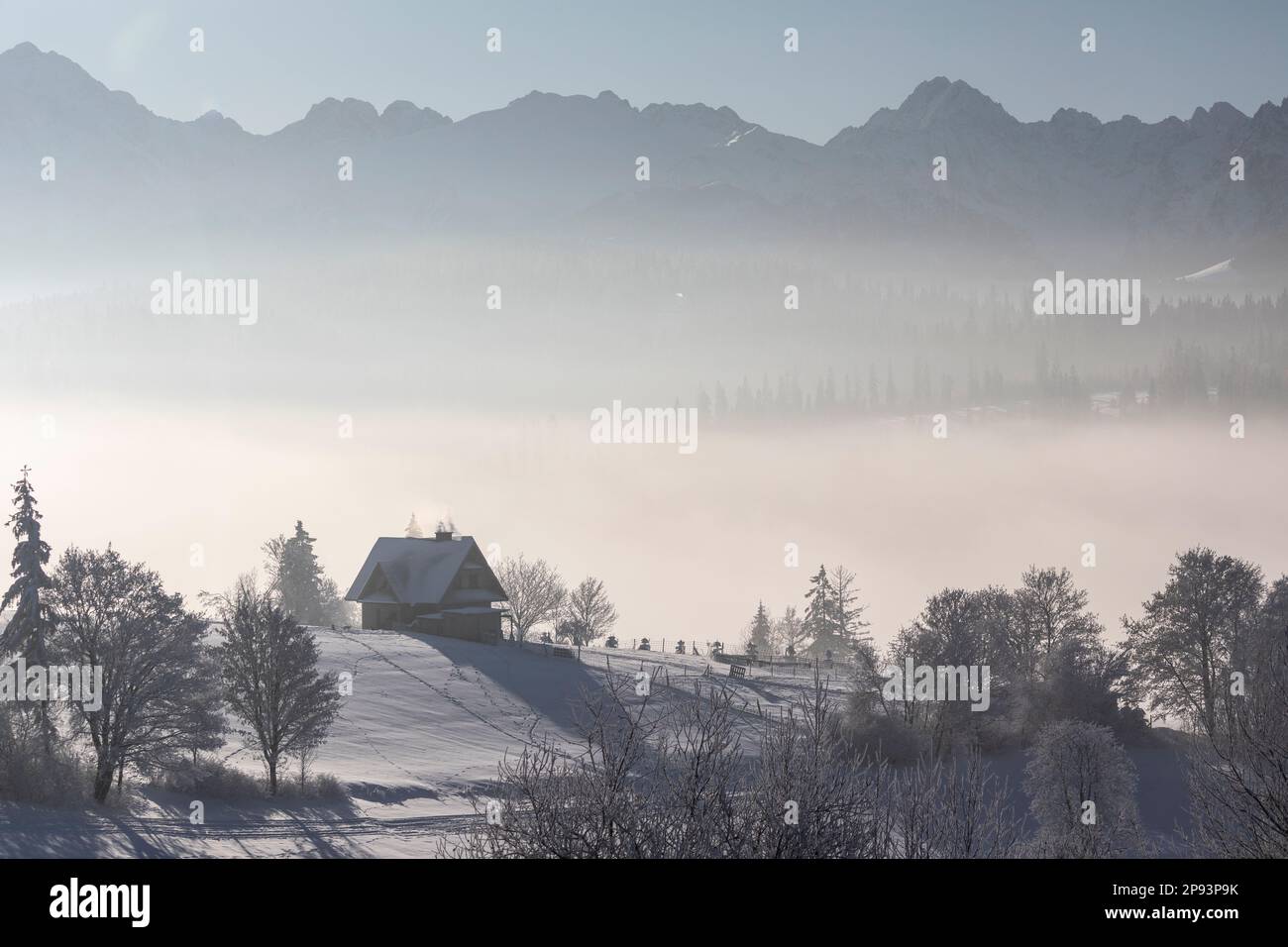 Europe, Poland, Lesser Poland, Tatra Mountains, Podhale, view from ...