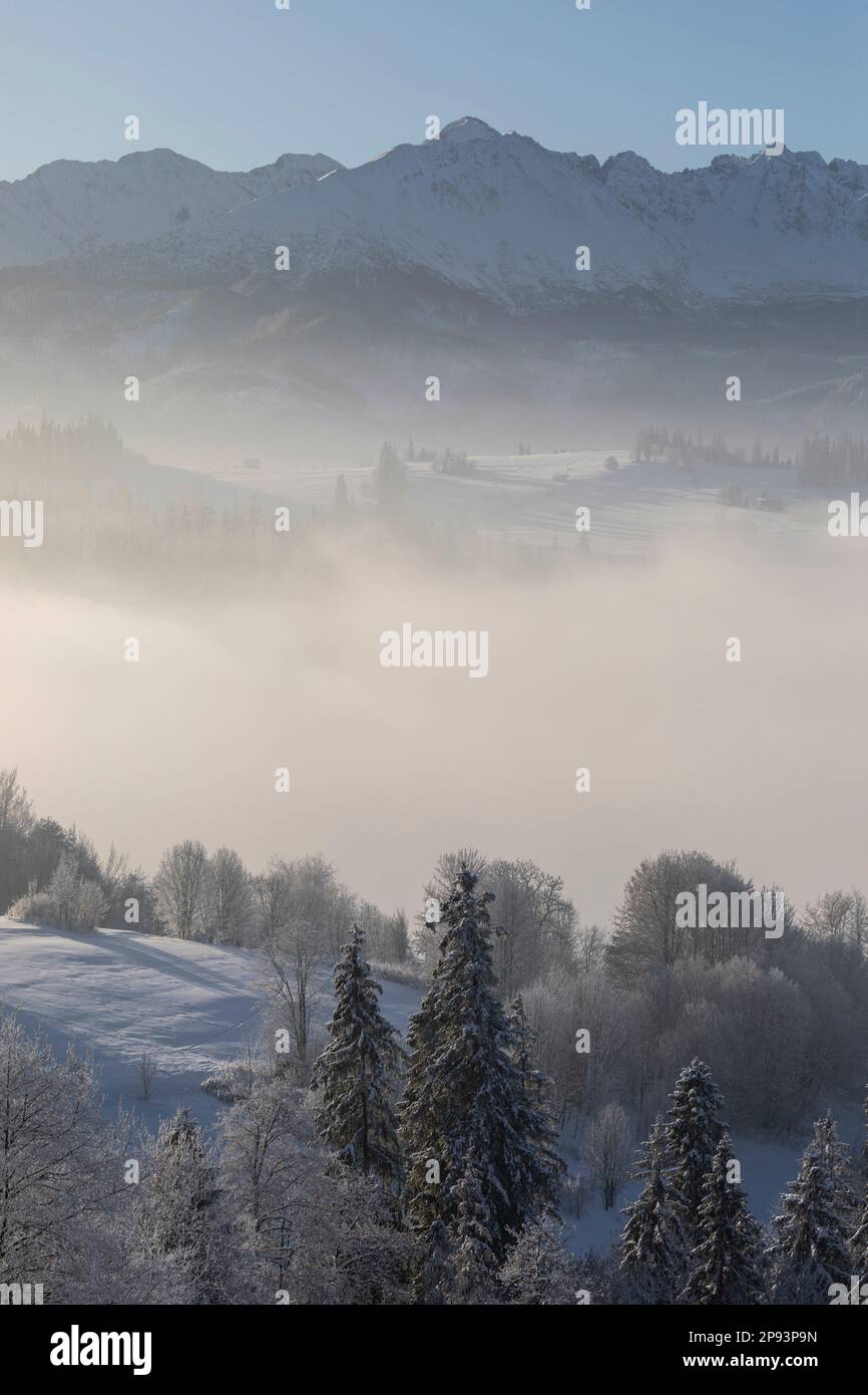 Europe, Poland, Lesser Poland, Tatra Mountains, Podhale, view from ...
