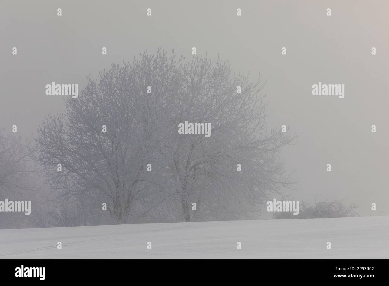 Tatry polskie hi-res stock photography and images - Alamy