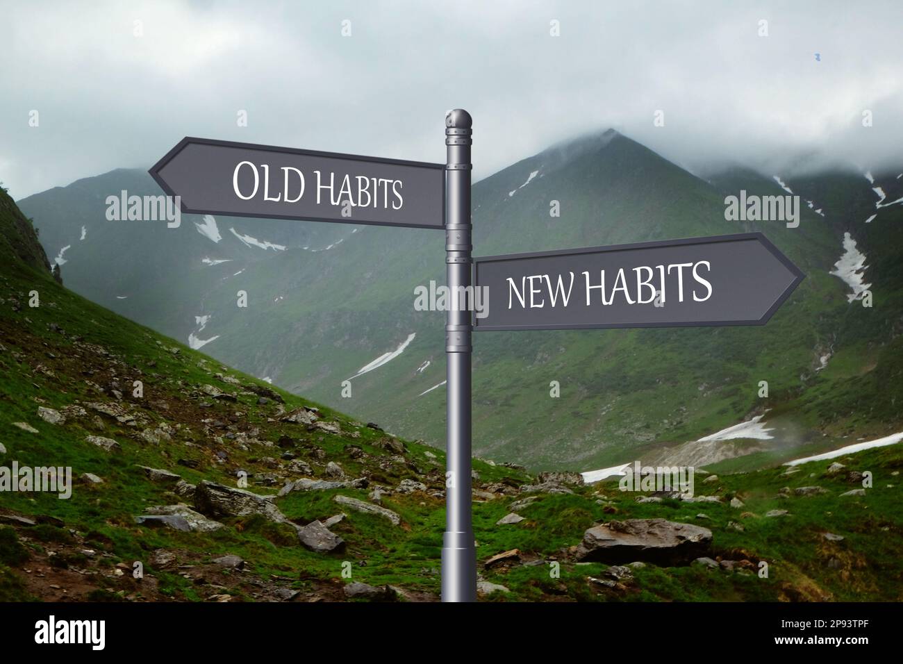 Alcohol addiction: what to choose - life with old bad habits or new ...