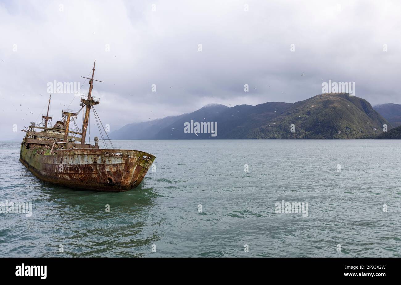 Wreck of MV Captain Leonidas, a freighter that ran aground on the Bajo ...