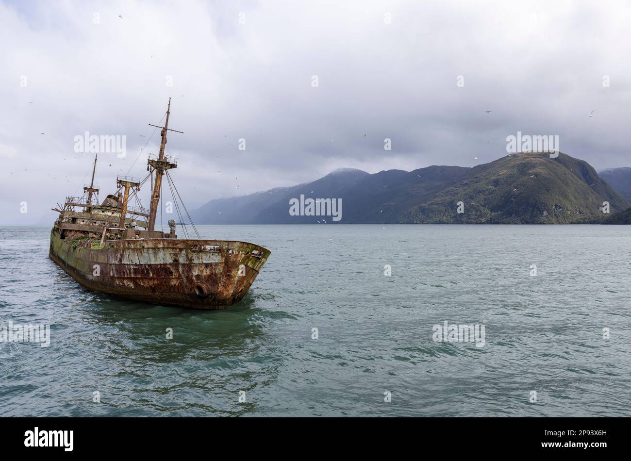 Wreck of MV Captain Leonidas, a freighter that ran aground on the Bajo ...