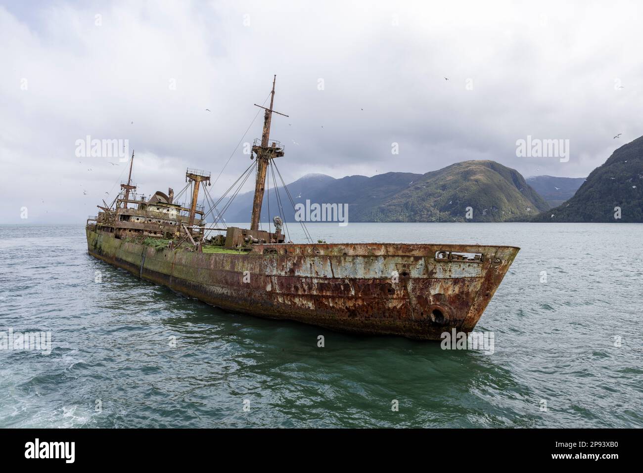 Wreck of MV Captain Leonidas, a freighter that ran aground on the Bajo ...