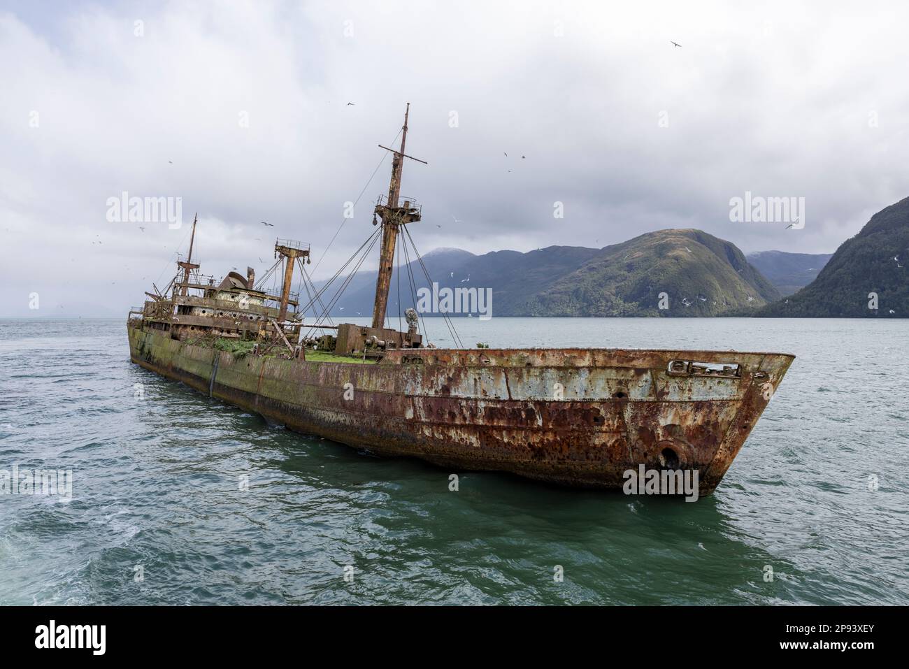 Wreck of MV Captain Leonidas, a freighter that ran aground on the Bajo ...