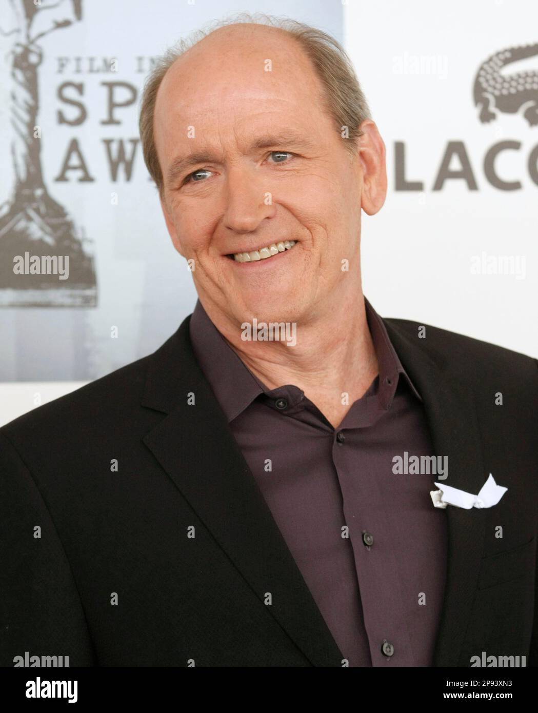 Richard Jenkins The Visitor