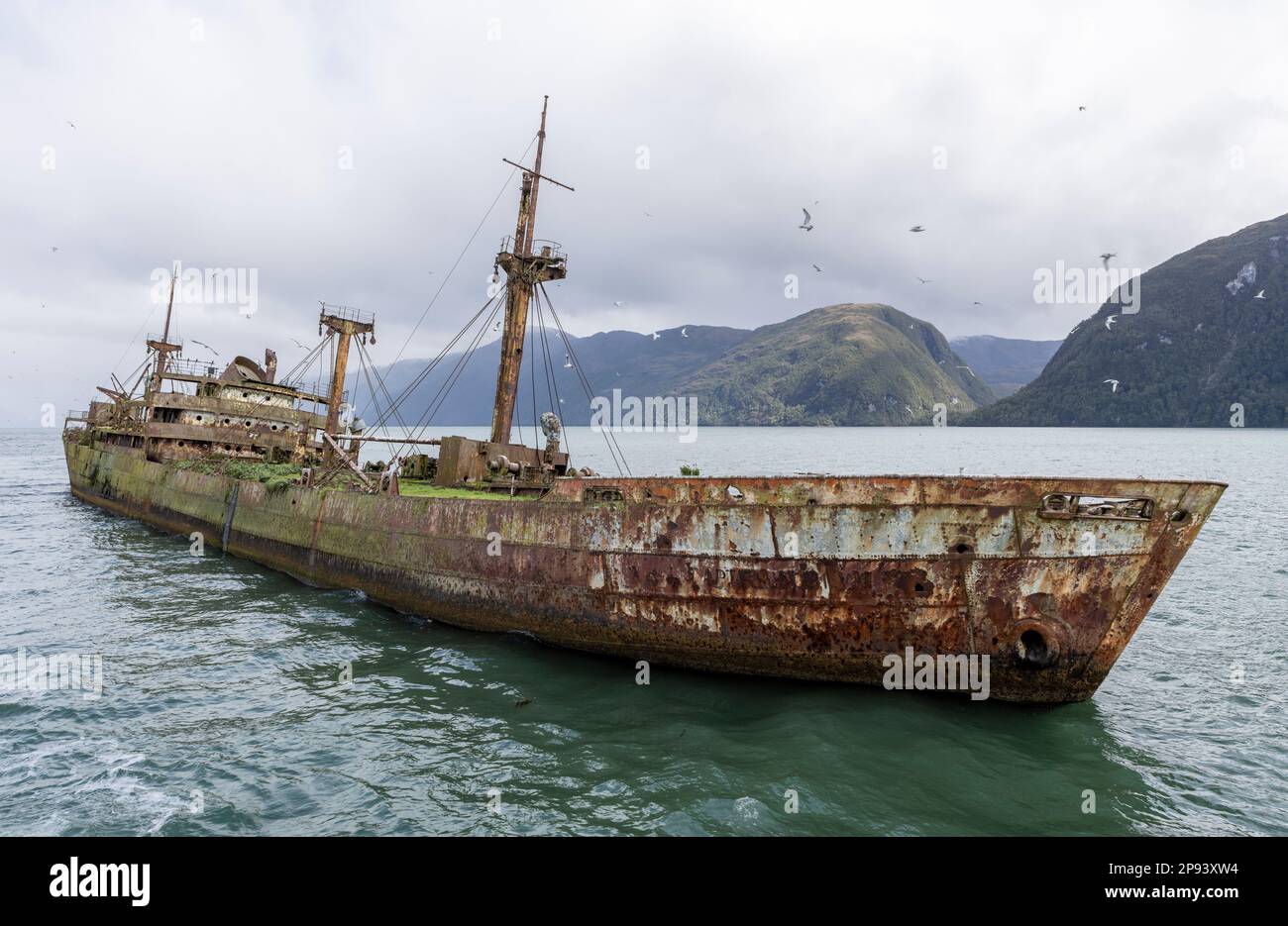 Wreck of MV Captain Leonidas, a freighter that ran aground on the Bajo ...