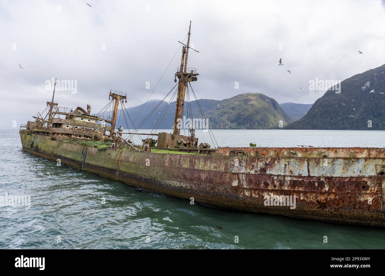 Wreck of MV Captain Leonidas, a freighter that ran aground on the Bajo ...